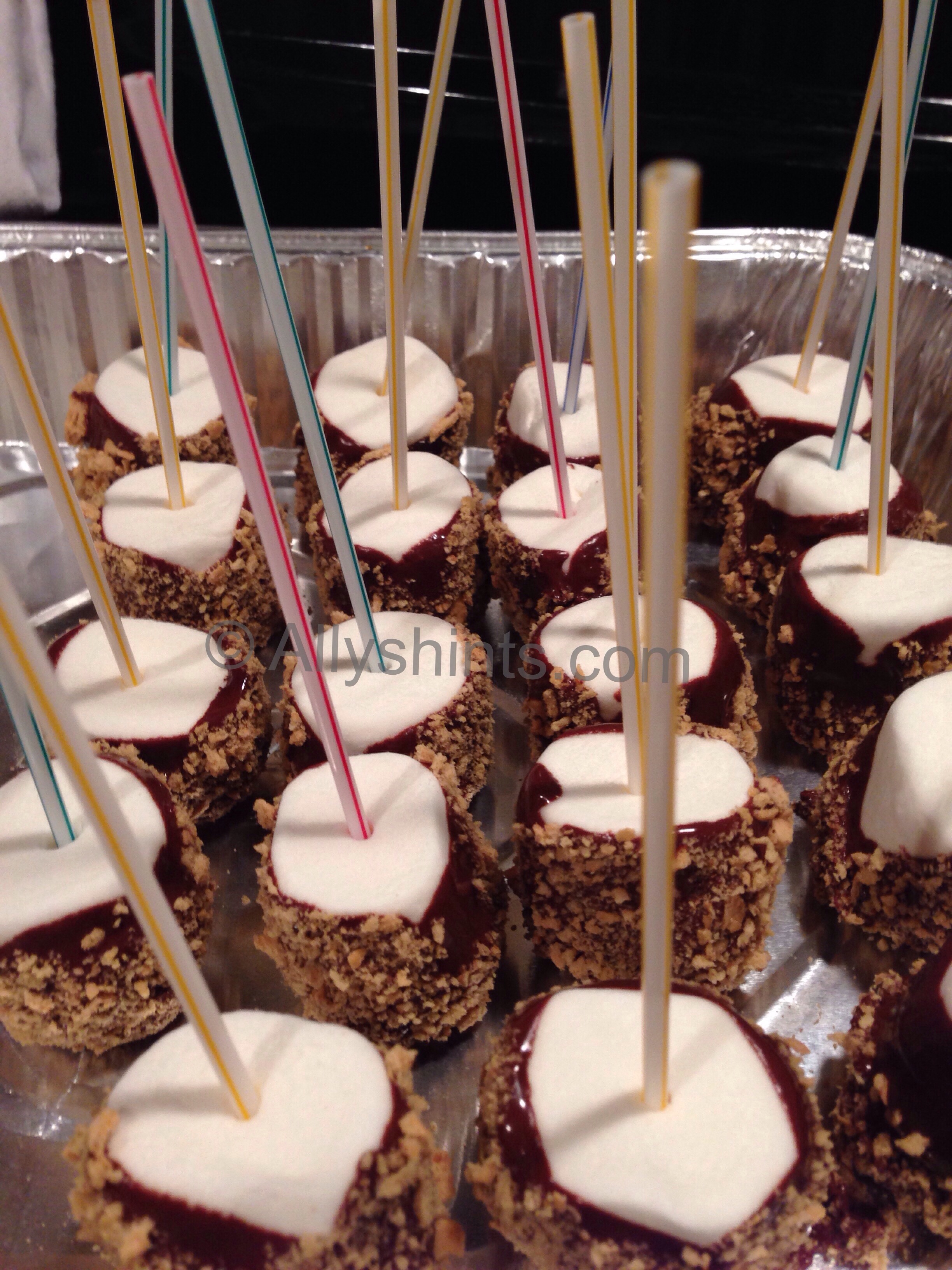 S’mores on a Stick great Treat « Ally's Helpful Hints For Mommies